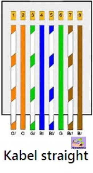 Urutan Warna Kabel LAN Yang Benar (Jenis Straight & Cross) | POHON ILMU